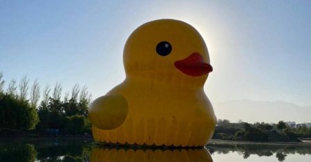 El famoso Pato de Hule regresó a Chile de la mano de el Festival Hecho ...